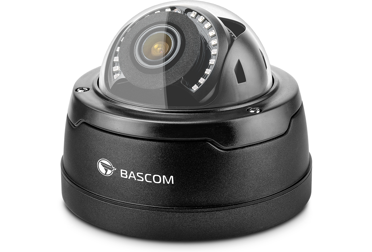 Caméra dôme sans fil PRO - Bascom